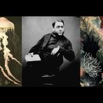 Writing, Podcasts, etc. - Roger Wotton